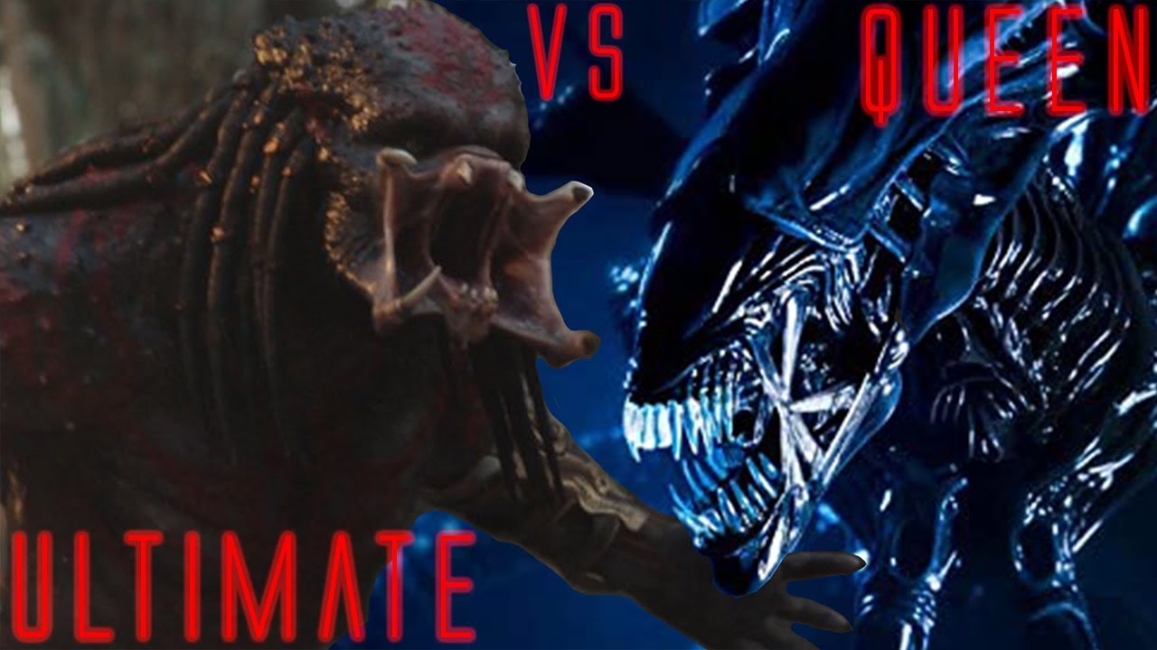 Ultimate DEPREDADOR vs ALIEN Reina | Versus - YouTube
