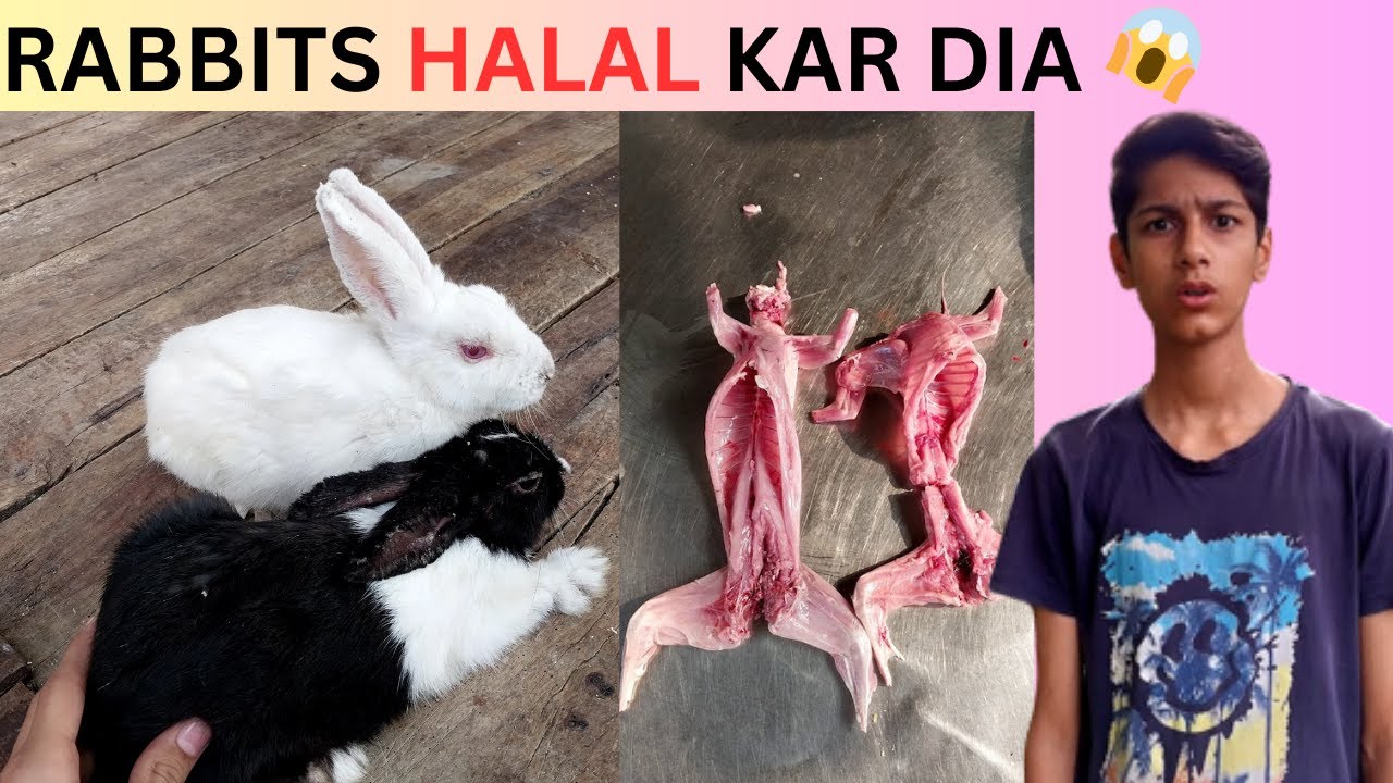 Rabbits Ko Zibah kar Dia || Halal kar Dia Rabbits ko || Desi Peeps ...