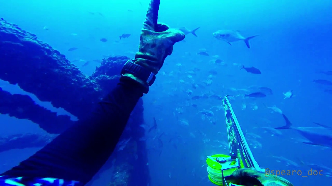 free-diving and spearfishing - it's a lifestyle.... - YouTube
