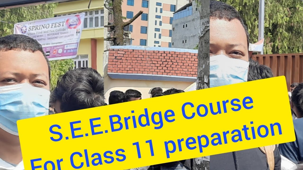 S.E.E. Bridge Course for Class 11 preparation. Education Hub in ...