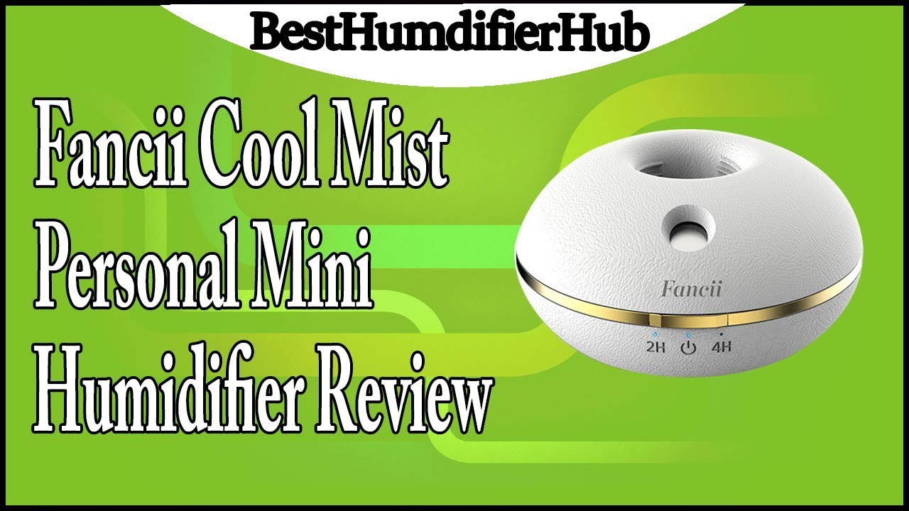 Fancii Cool Mist Personal Mini Humidifier Review - YouTube