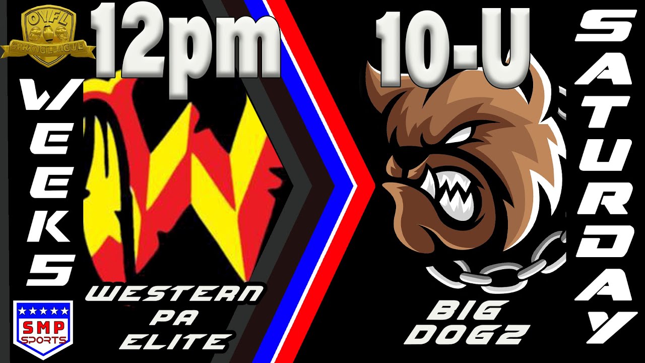 Western PA Elite vs Big Dogz 10-U - YouTube