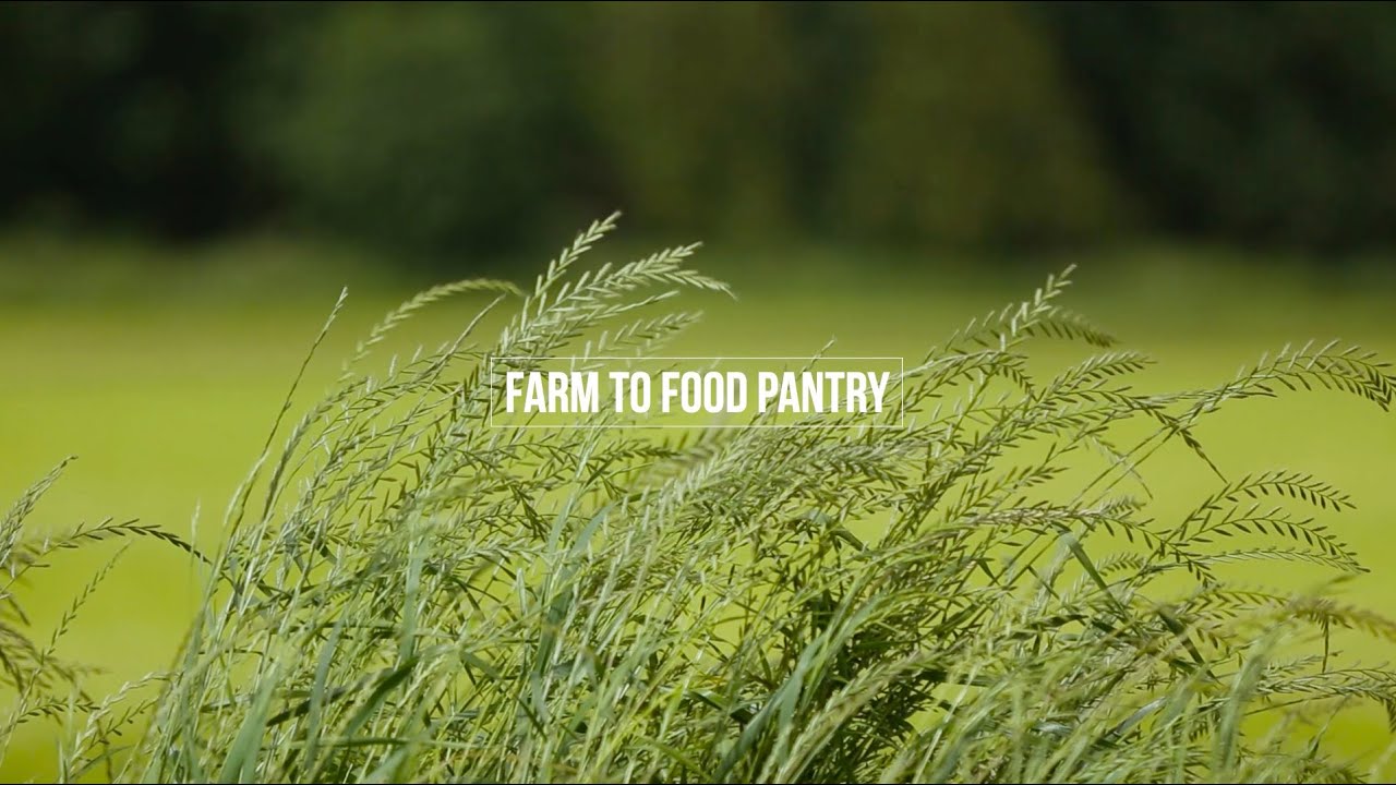 Farm to Food Pantry - YouTube