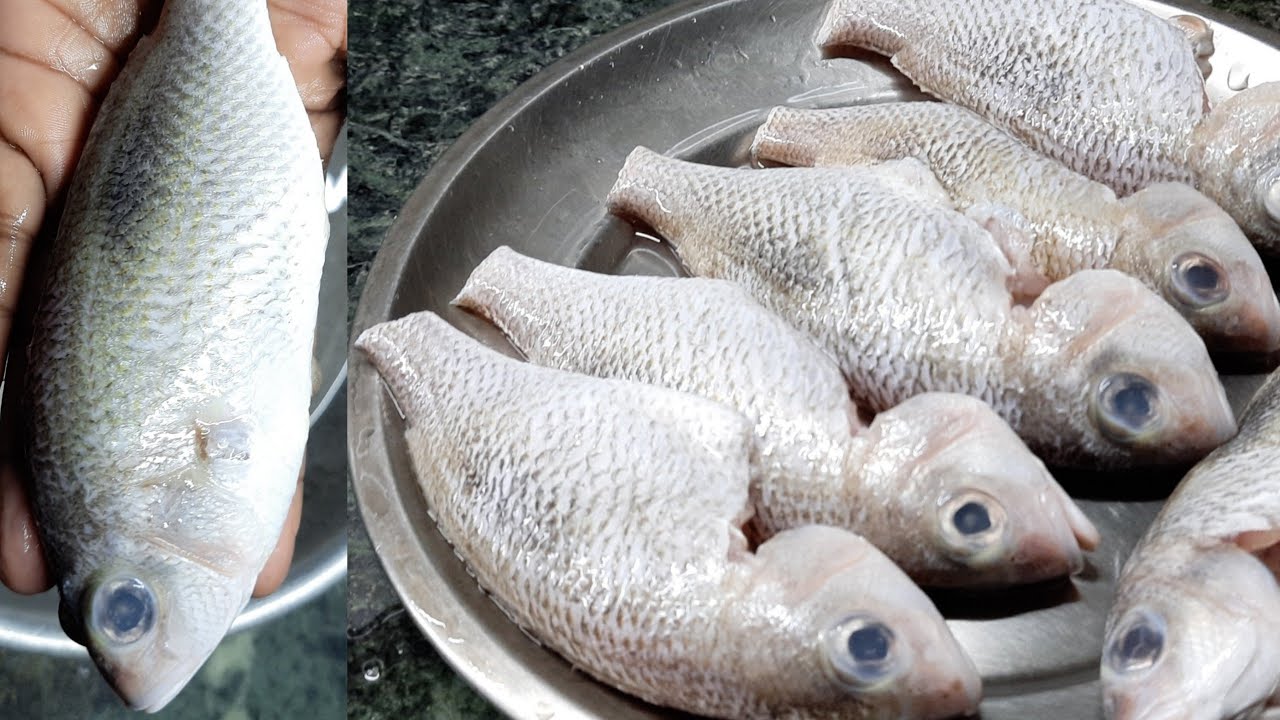 எளிமையான முறையில் வெள மீனை சுத்தம் செய்வது எப்படி || vela meen cleaning ...