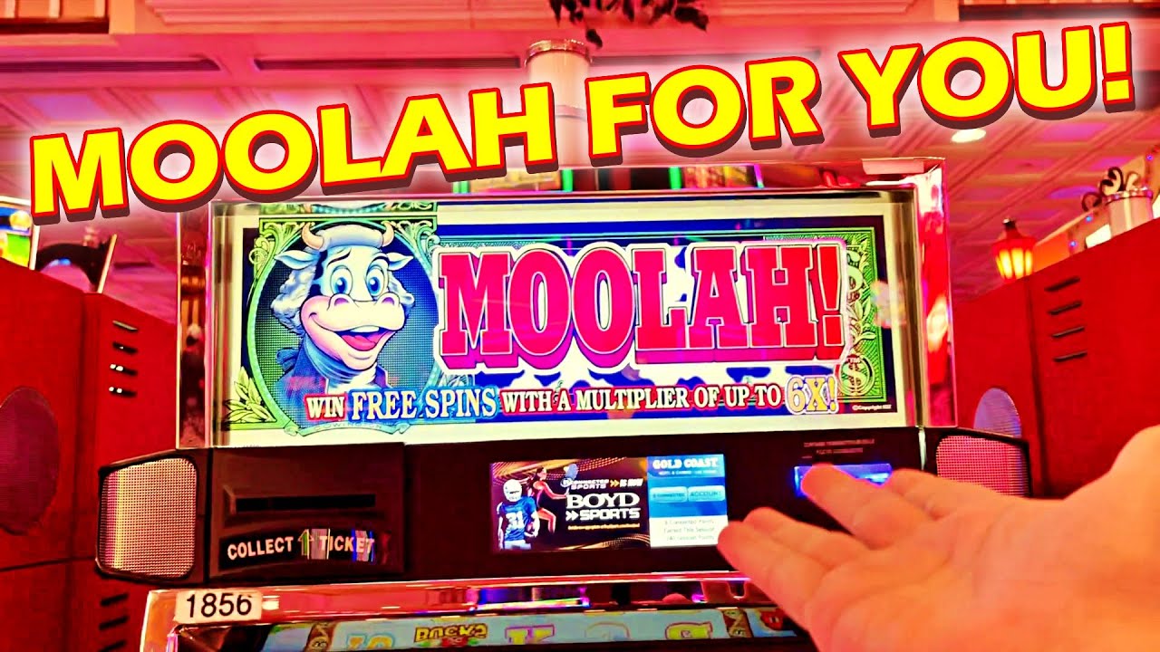 YOU WANT SOME MOOLAH??!? * I GOT YOU SOME MOOLAH!!! - Special 100 Day ...