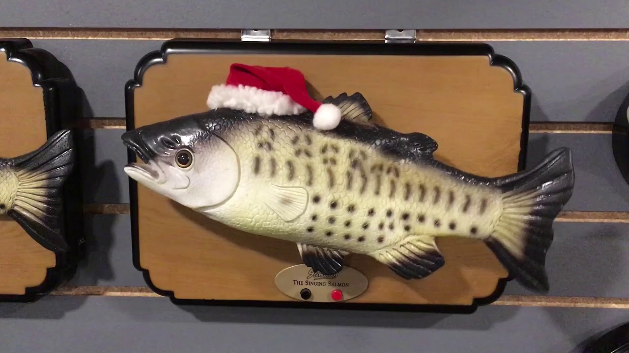Sammy the singing salmon Christmas edition. - YouTube