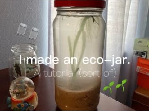 A tutorial on how to make your own eco-jar! - YouTube