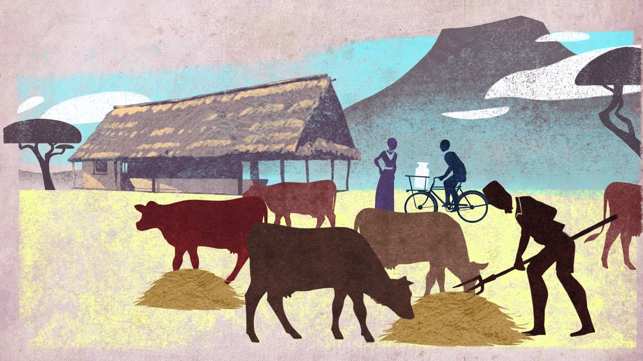 Introducing the Global Agenda of Action in support of sustainable ...