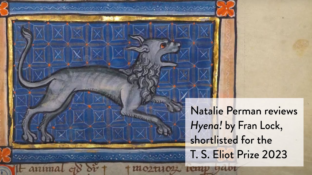 Natalie Perman reviews Fran Lock's Hyena! - YouTube