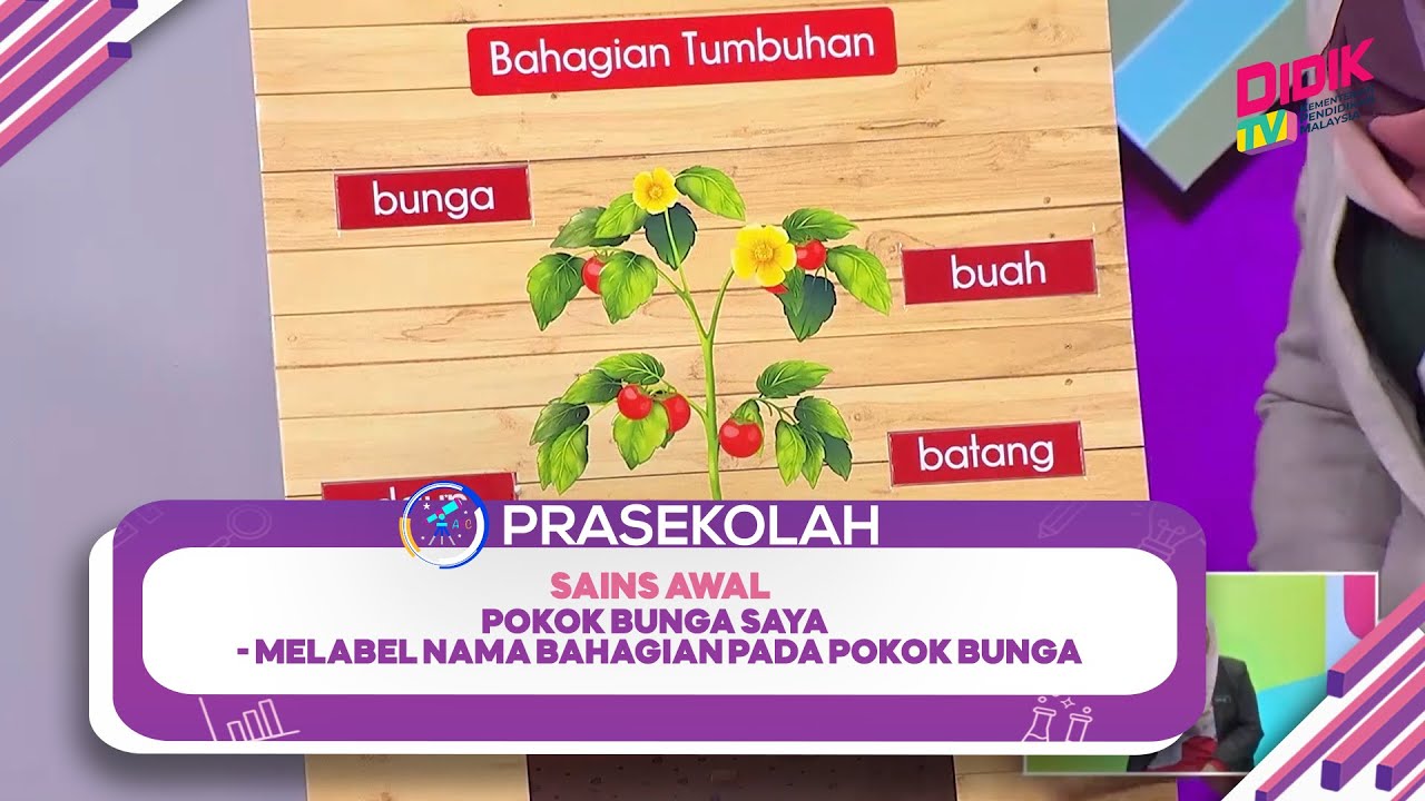 Prasekolah (2022) - Klip | Sains Awal: Pokok Bunga Saya - Melabel Nama ...