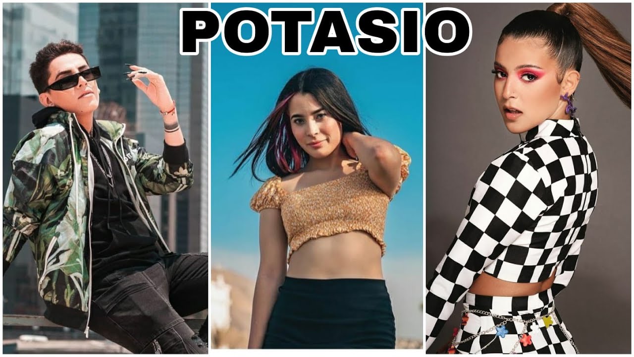 EL AGUACATE ES UNA FRUTA POTASIO, POTASIO REMIX (TIKTOK COMPILATION ...