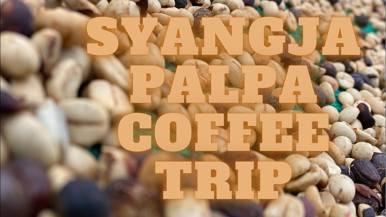 Syangja & Palpa ||. Coffee Trip. || travel with coffee for coffee ...