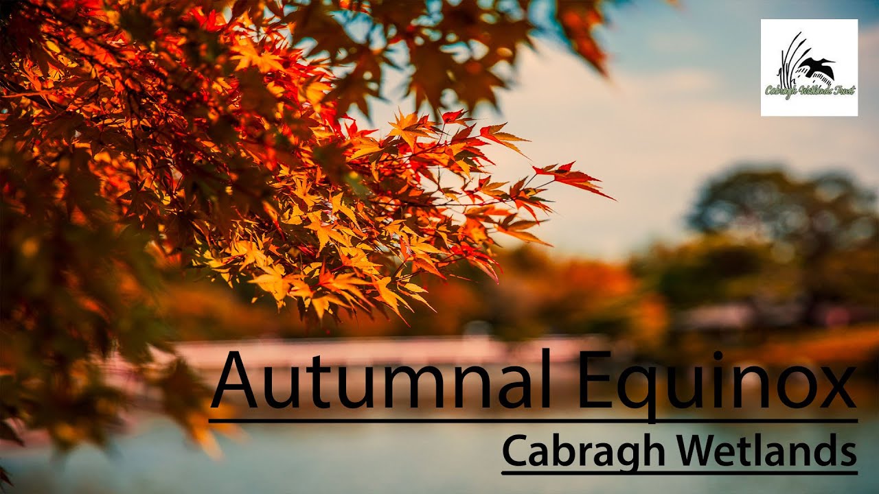 Autumnal Equinox at Cabragh Wetlands - YouTube