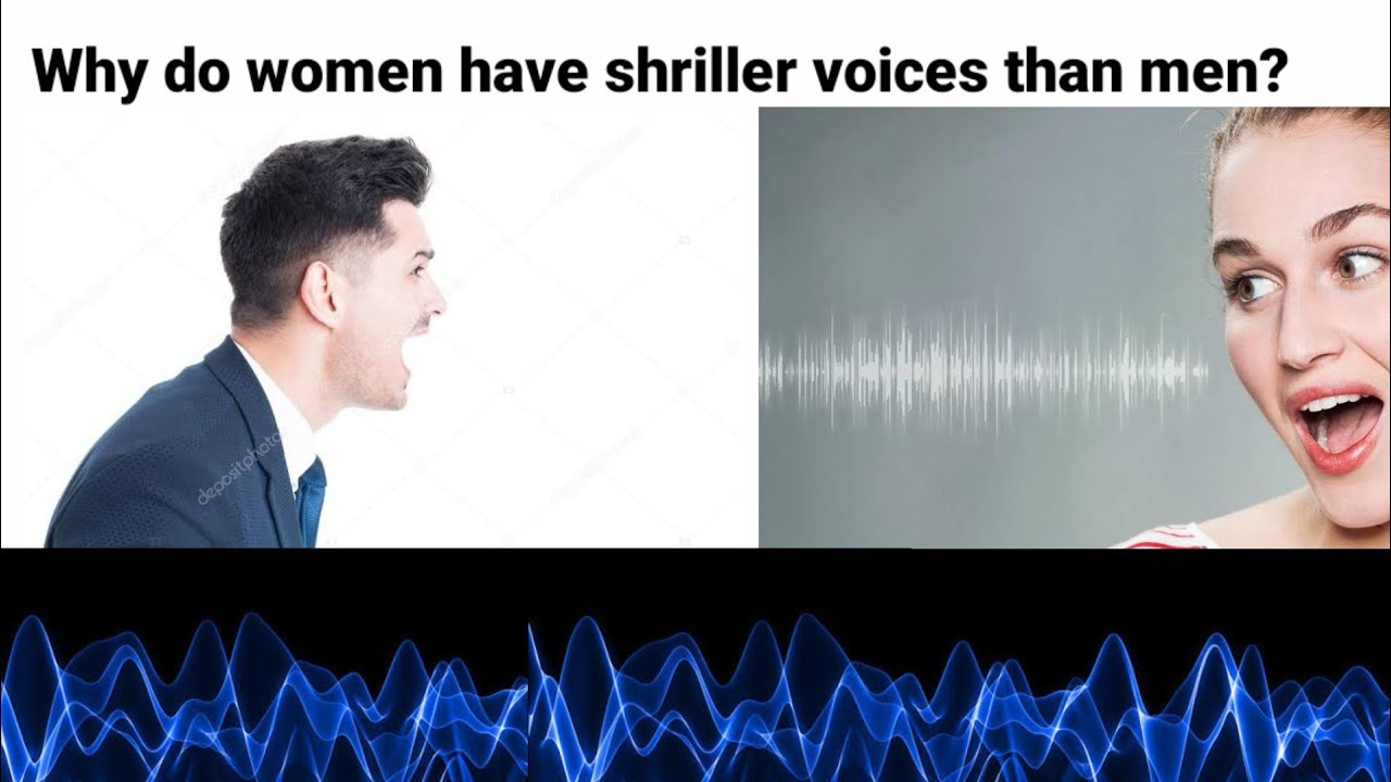 Why do women have shriller voices than men? # ...