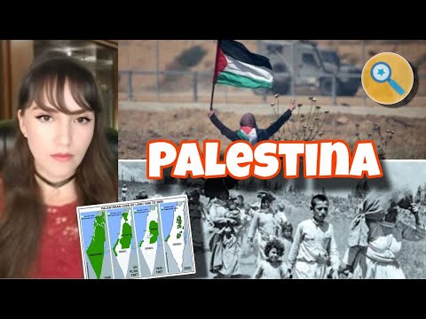 A Questão Palestina🤔🔎📚 🇵🇸