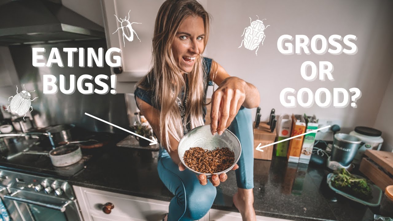Eating Bugs! Gross or Good?! Sustainability Activist Cooking with Bugs ...