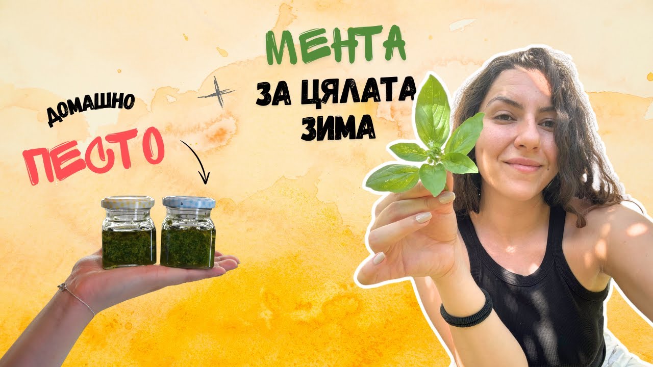 Италианско песто от босилек Домашен ментов чай Зимнии 🌱 Youtube