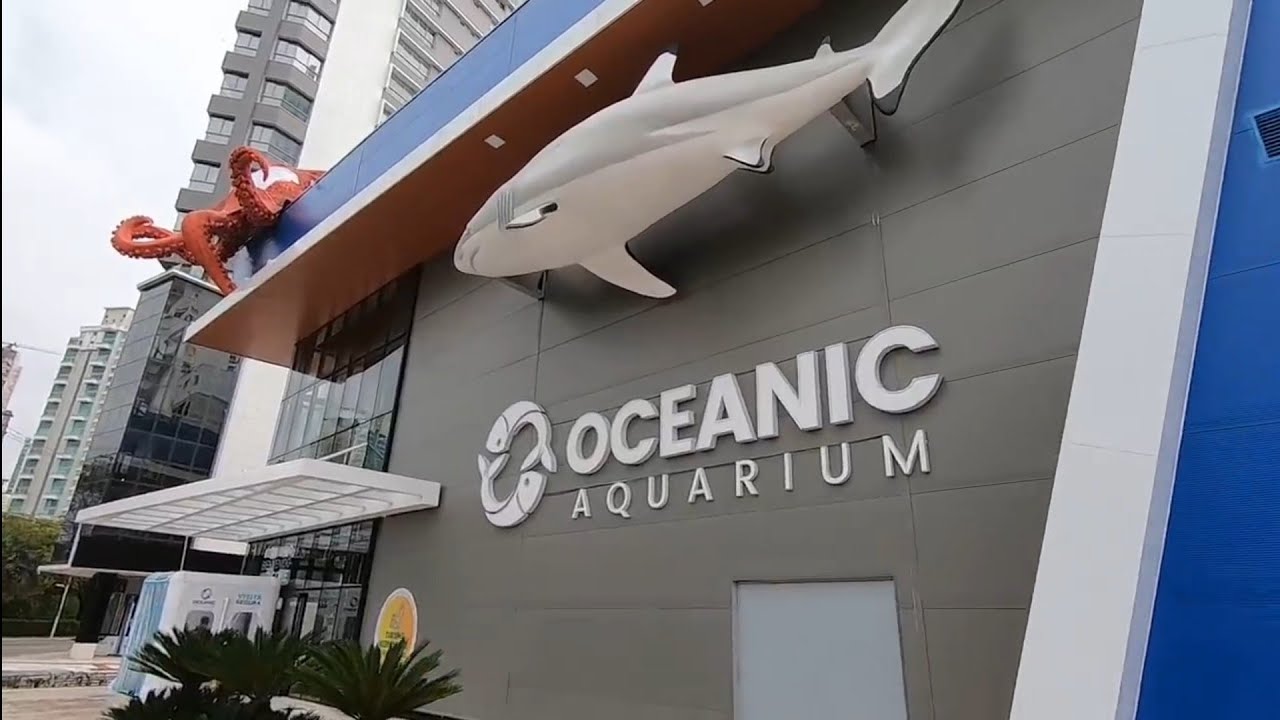 AQUÁRIO GIGANTE EM BALNEÁRIO CAMBORIÚ - OCEANIC AQUARIUM - YouTube