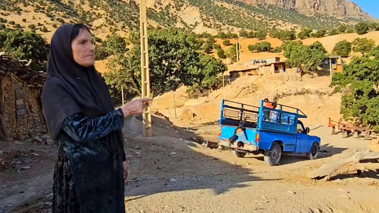 Love and hope in the jungle: the story of the love life of Ahmed and ...