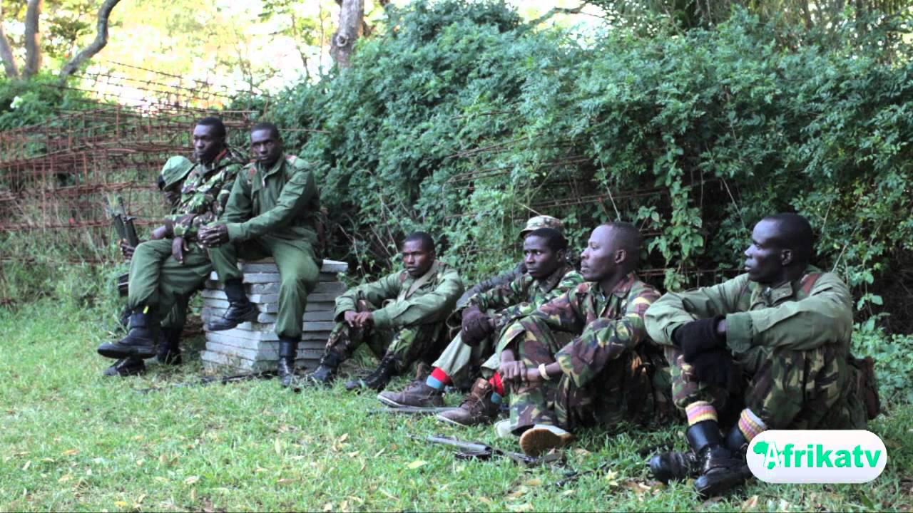 Kenya: Un commando pour sauver les rhinocéros - YouTube