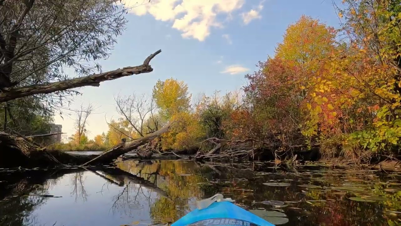 Fall Foliage in Canandaigua NY October 2022 - YouTube