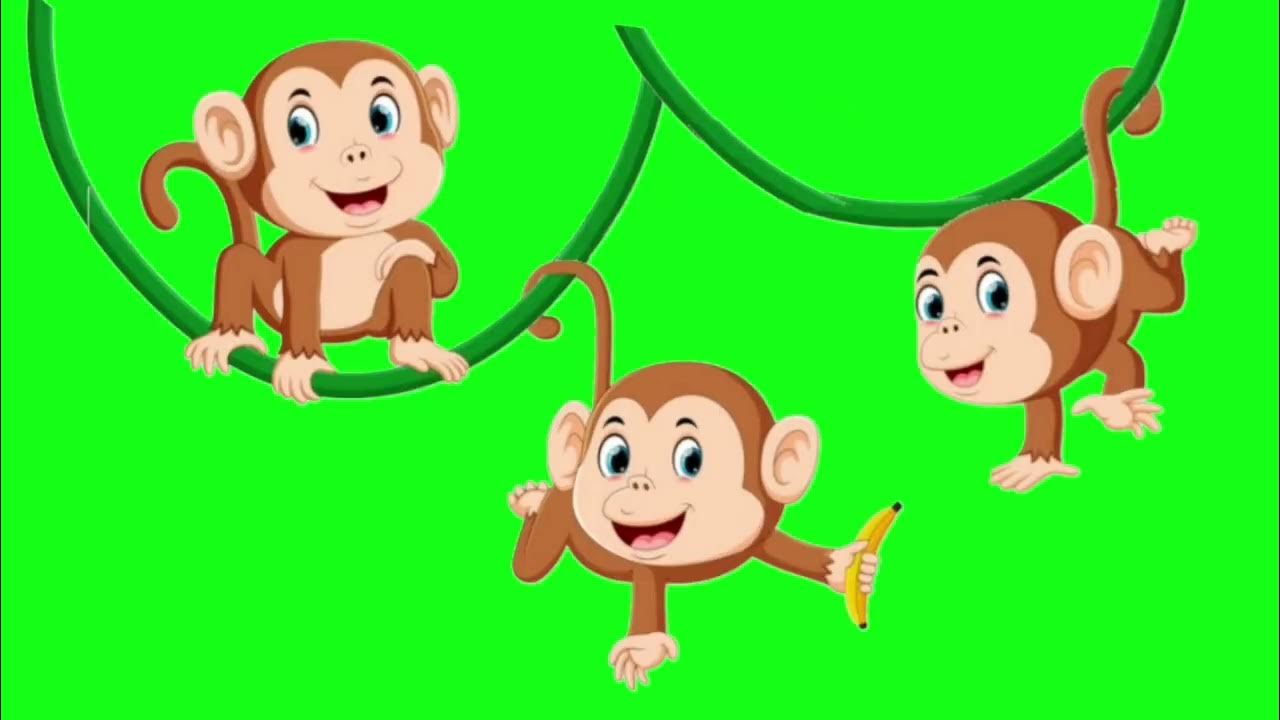 Animated green screen Monkey-1🐵🐒 | No copyright| Animation World - YouTube