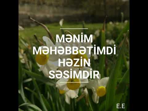 Rəsul Əfəndiyev - Sən Bil Bəsimdi