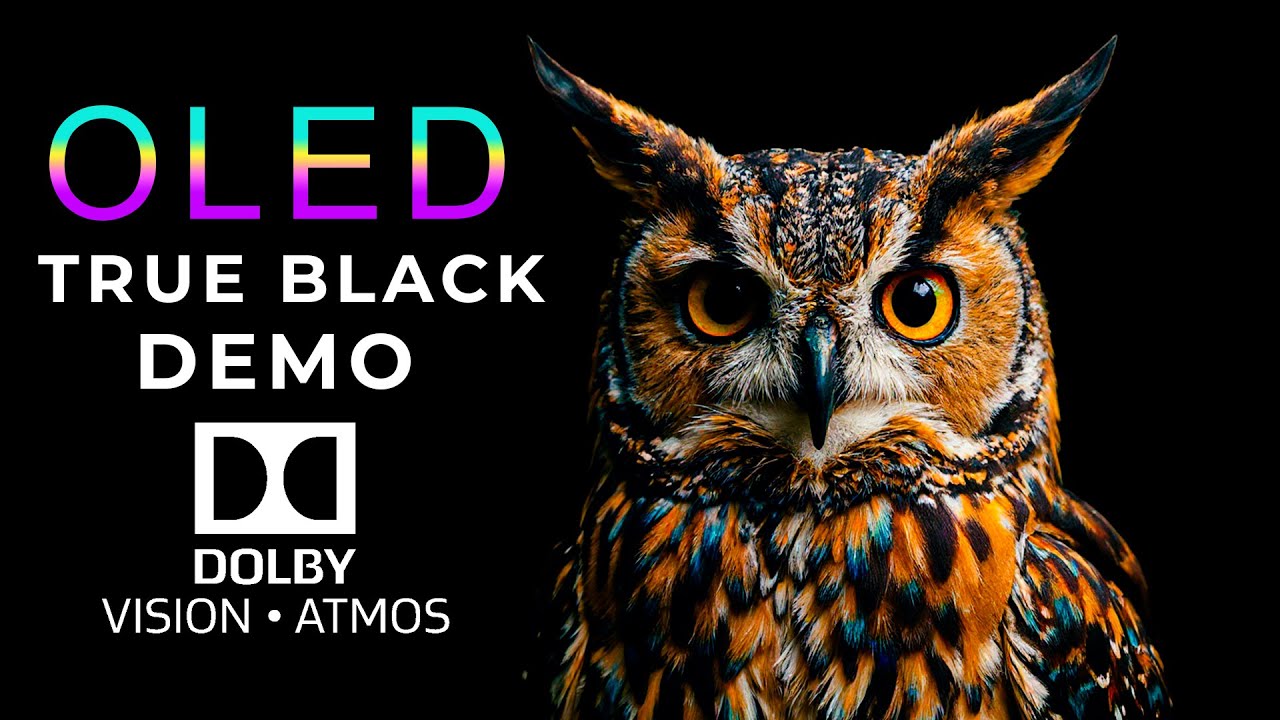 The Deepest Black Ever Captured | 8K HDR OLED Cinematic Showcase - YouTube
