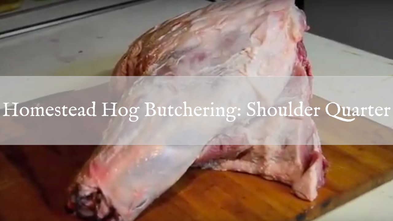 Homestead Hog Butchering: Shoulder Quarter - YouTube