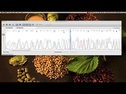 How to Clean-up Sequence for Better Search Results - YouTube