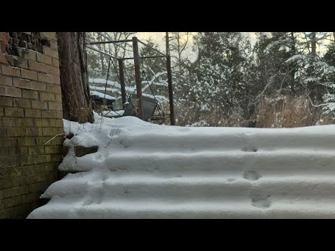 Snow Time 🌨️ LIVE in Markham Canada | 9th February 2025 - YouTube