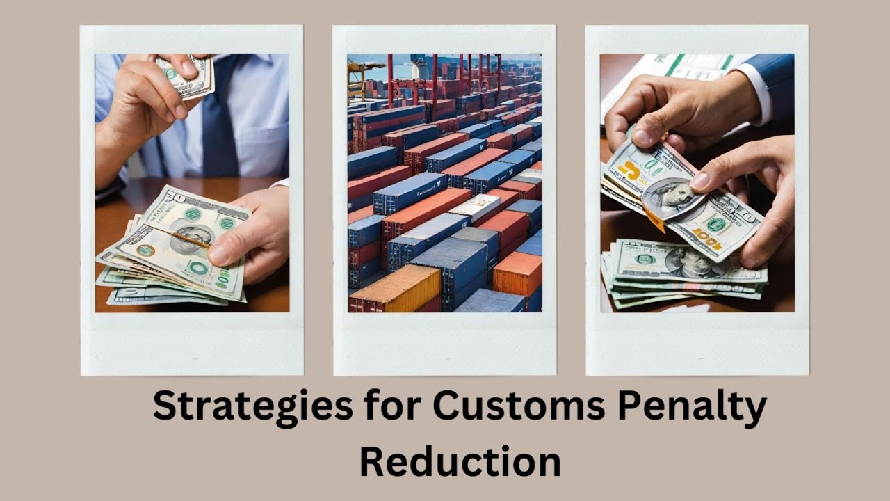 Rectifying ISF Violations: Strategies for Customs Penalty Reduction ...