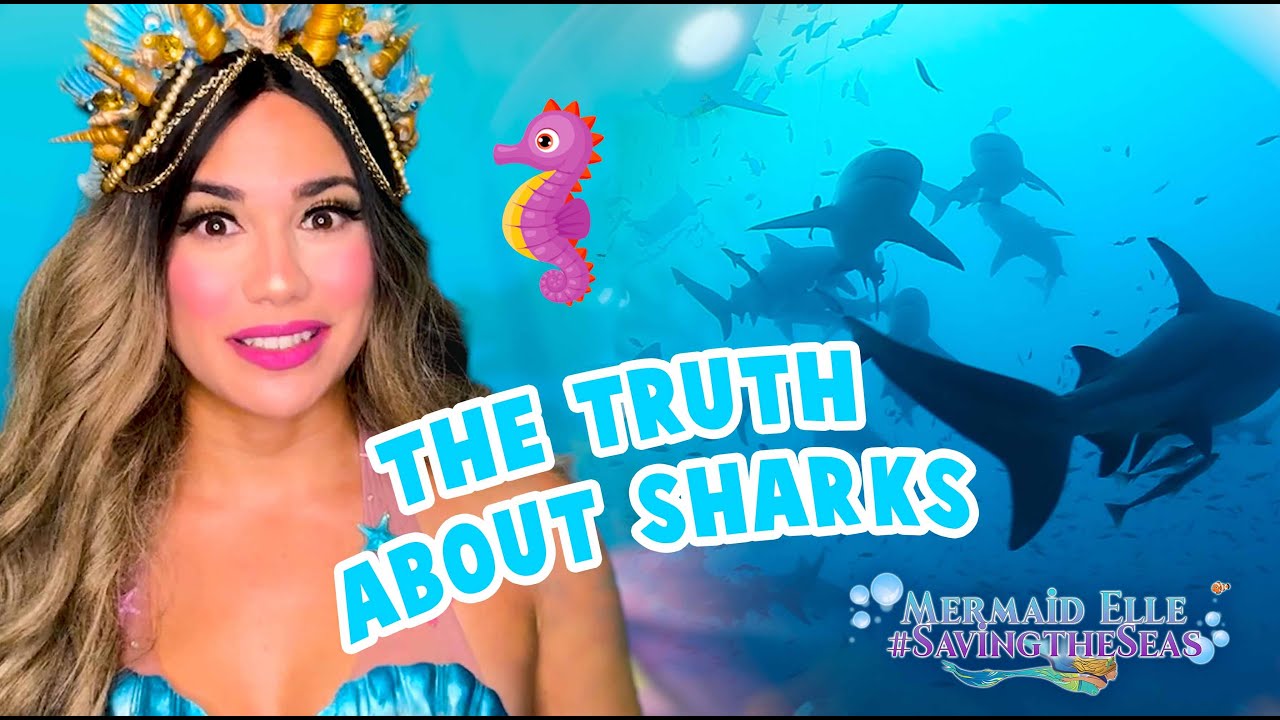 Ep 14: The Truth About Sharks x NATGEO Unboxing | Mermaid Elle - Saving ...