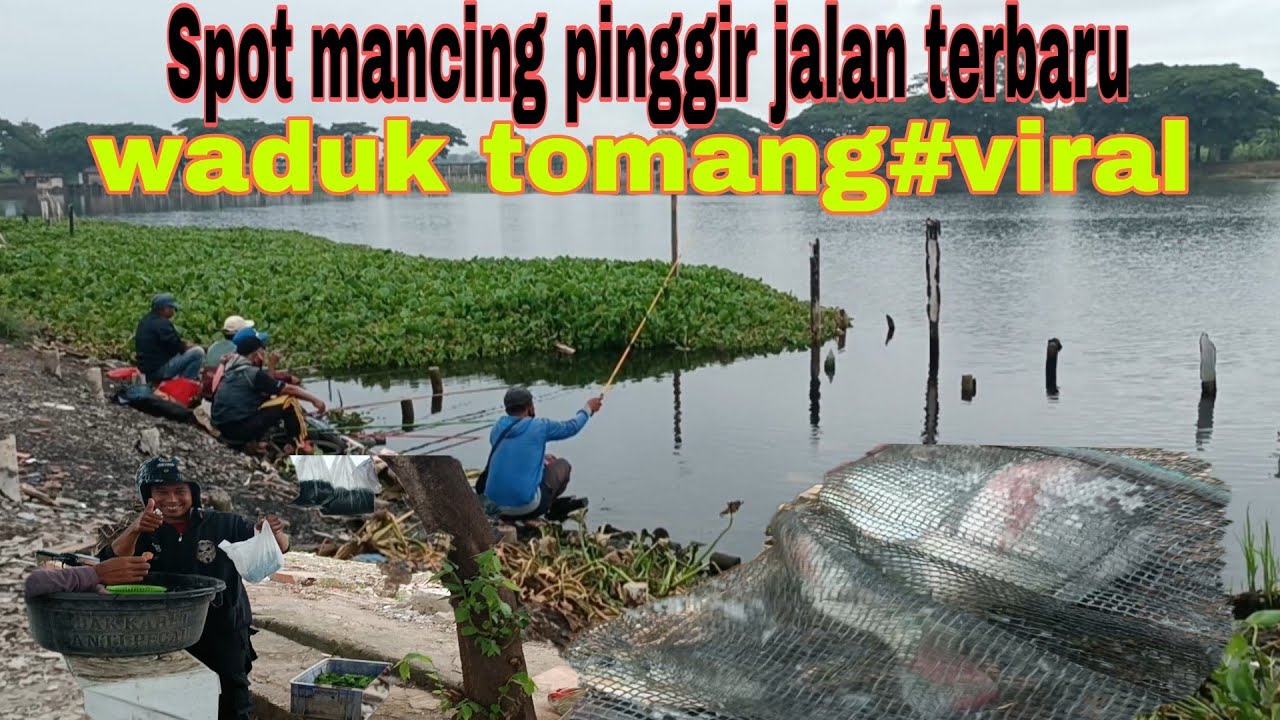 MANCING NILA LIAR PINGGIR JALAN TERBARU...!! Waduk Tomang Tangerang# ...