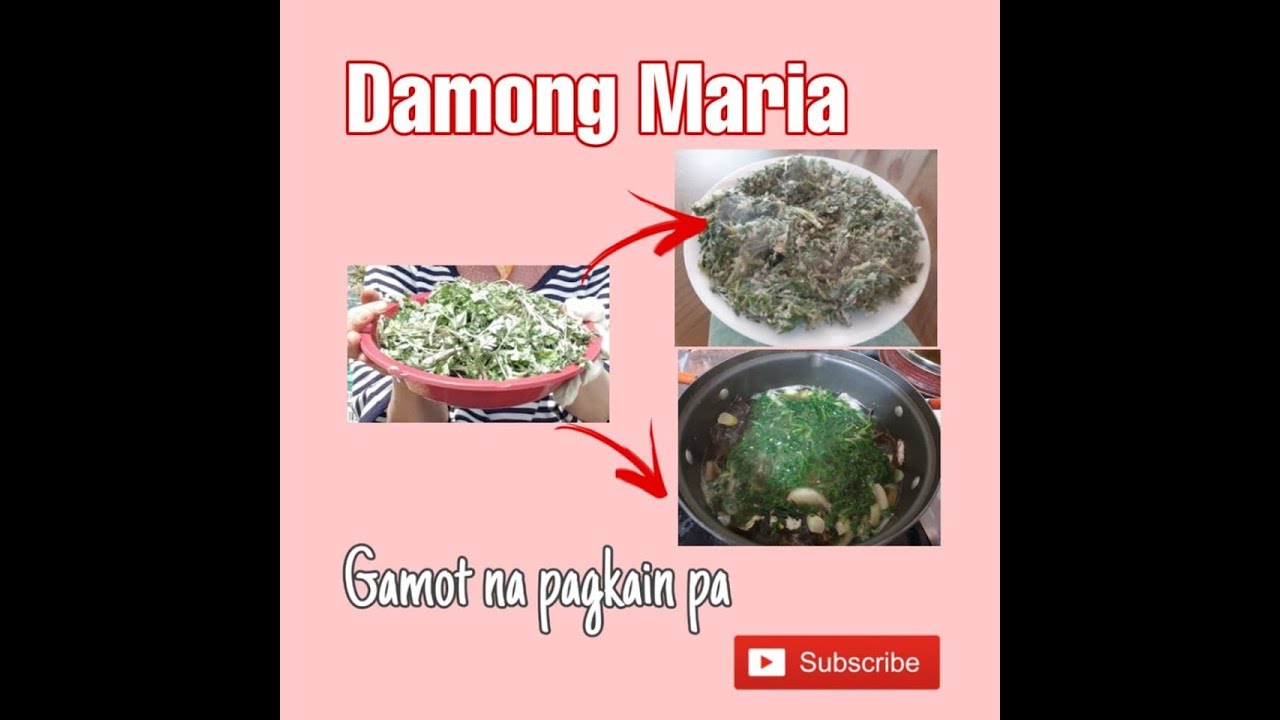 Damong Maria, gamot na pagkain pa.( mugwort recipe/ 쑥 요리) - YouTube