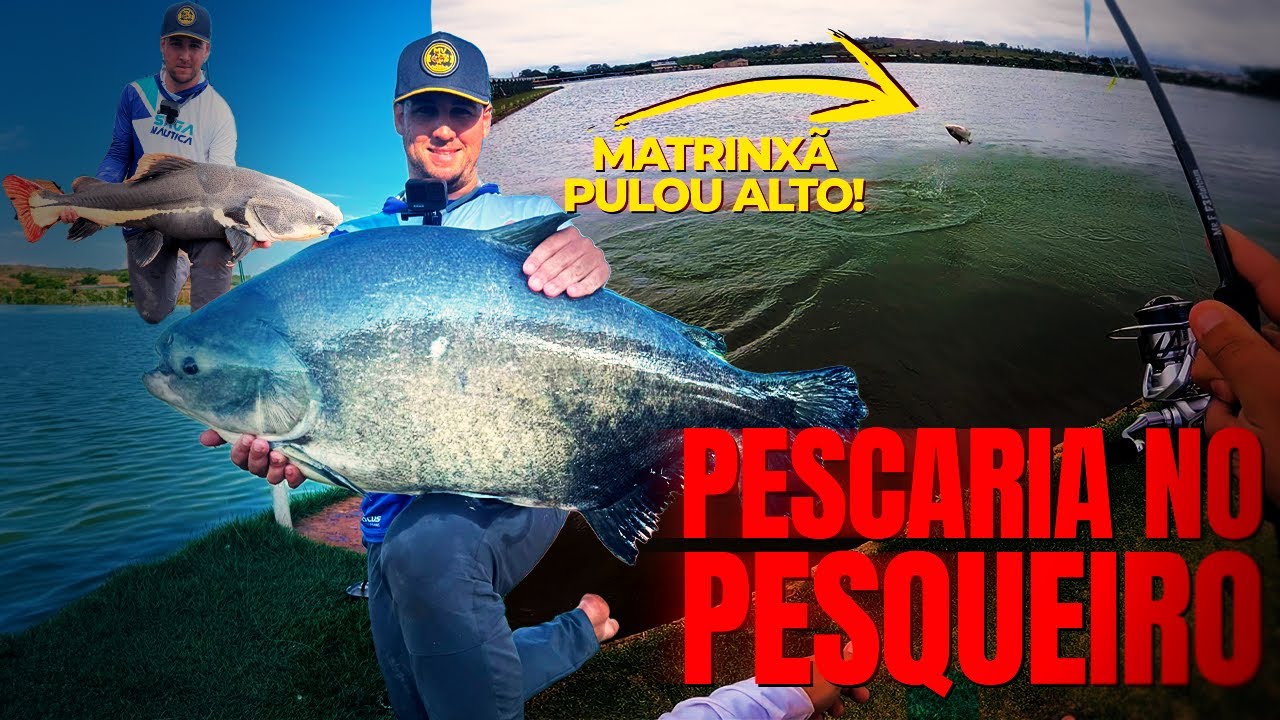 Pescaria no Clube Pescar - TAMBAQUI ENORME | A MATRINXÃ PULOU MUITO ...