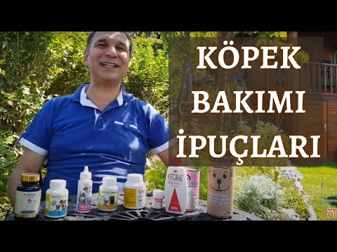 KÖPEK BAKIMI İPUÇLARI - EKLEM KORUYUCU EK BESLENME ve TÜY DÖKÜLMESİ ÖNERİLER