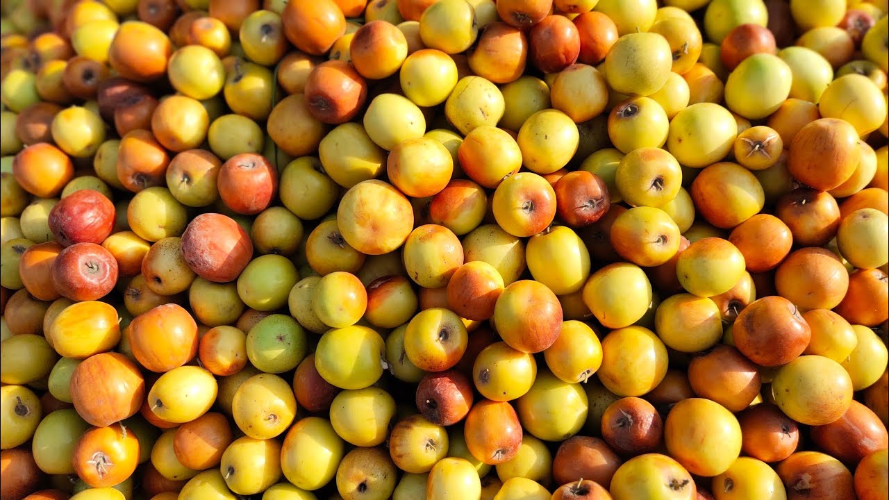 Pakistani no 1 ber . so sweet ber - YouTube