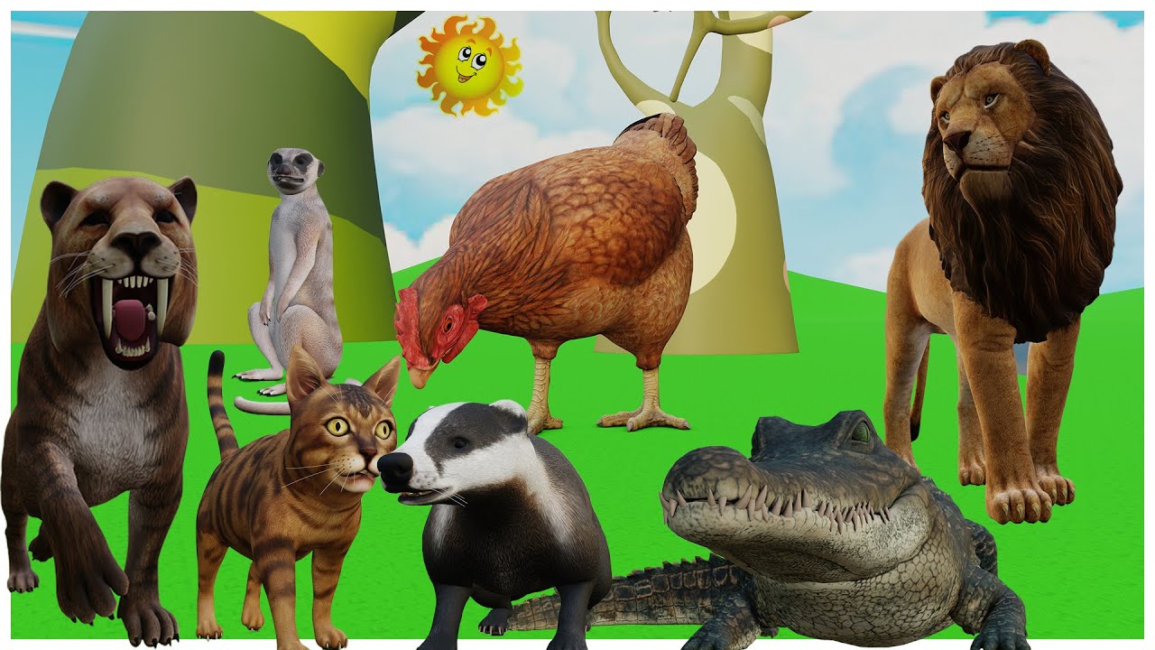 Cute 3D Animal Friends | 3D Animals | Dog, Hen, Tiger, Lion, Chicken ...