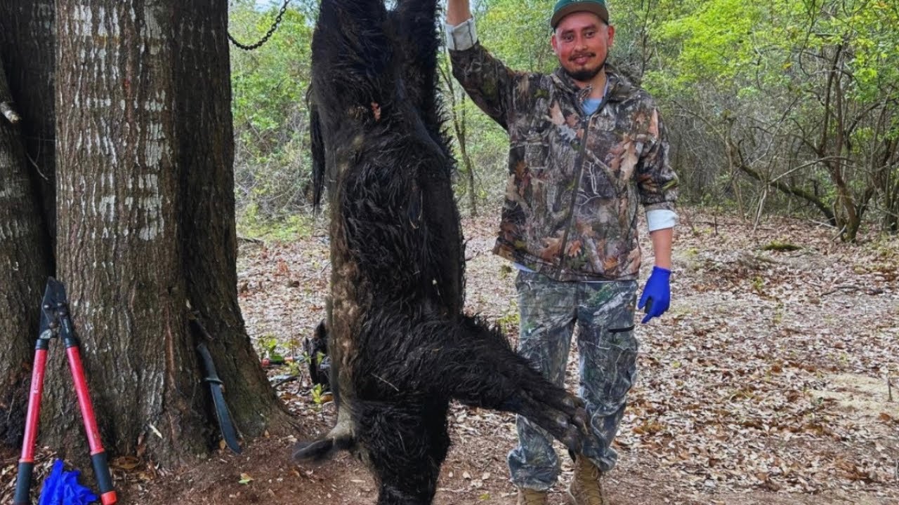 Cazando Marrano Salvaje , Caza y Cocina - YouTube