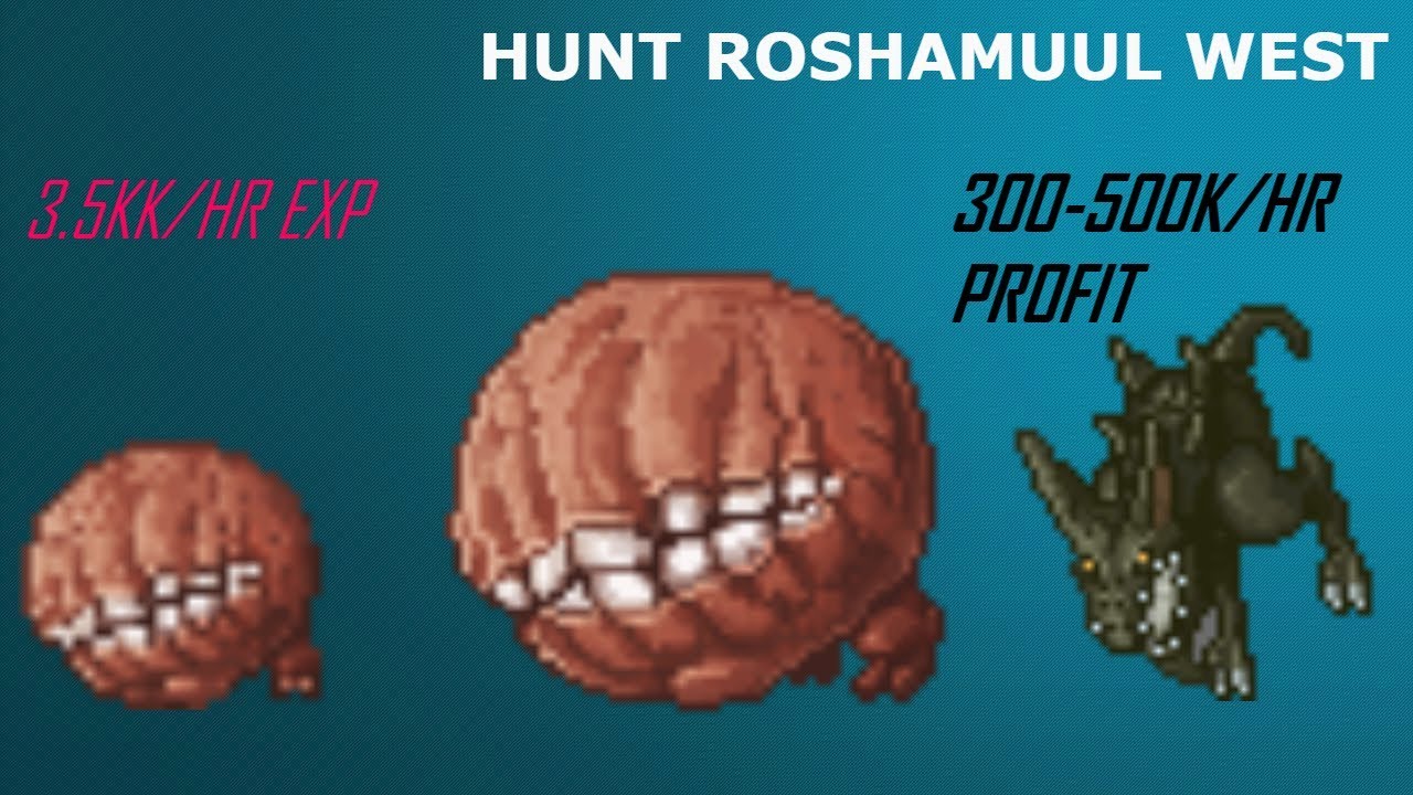[Tibia] Team Hunt (EK+ED) 250+ - Roshamuul West - YouTube