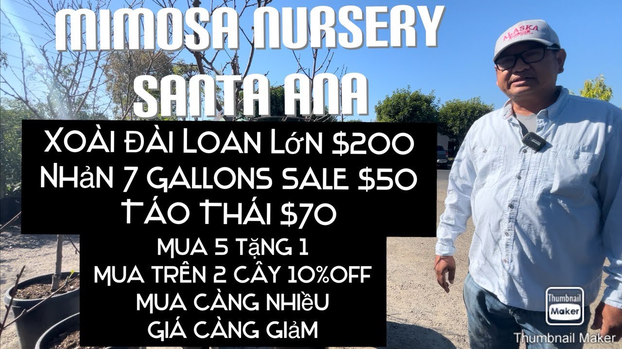 Mimosa Nursery Santa Ana Đại Hạ Giá Nhiều Cây Ăn Trái Mua Càng Nhiều ...