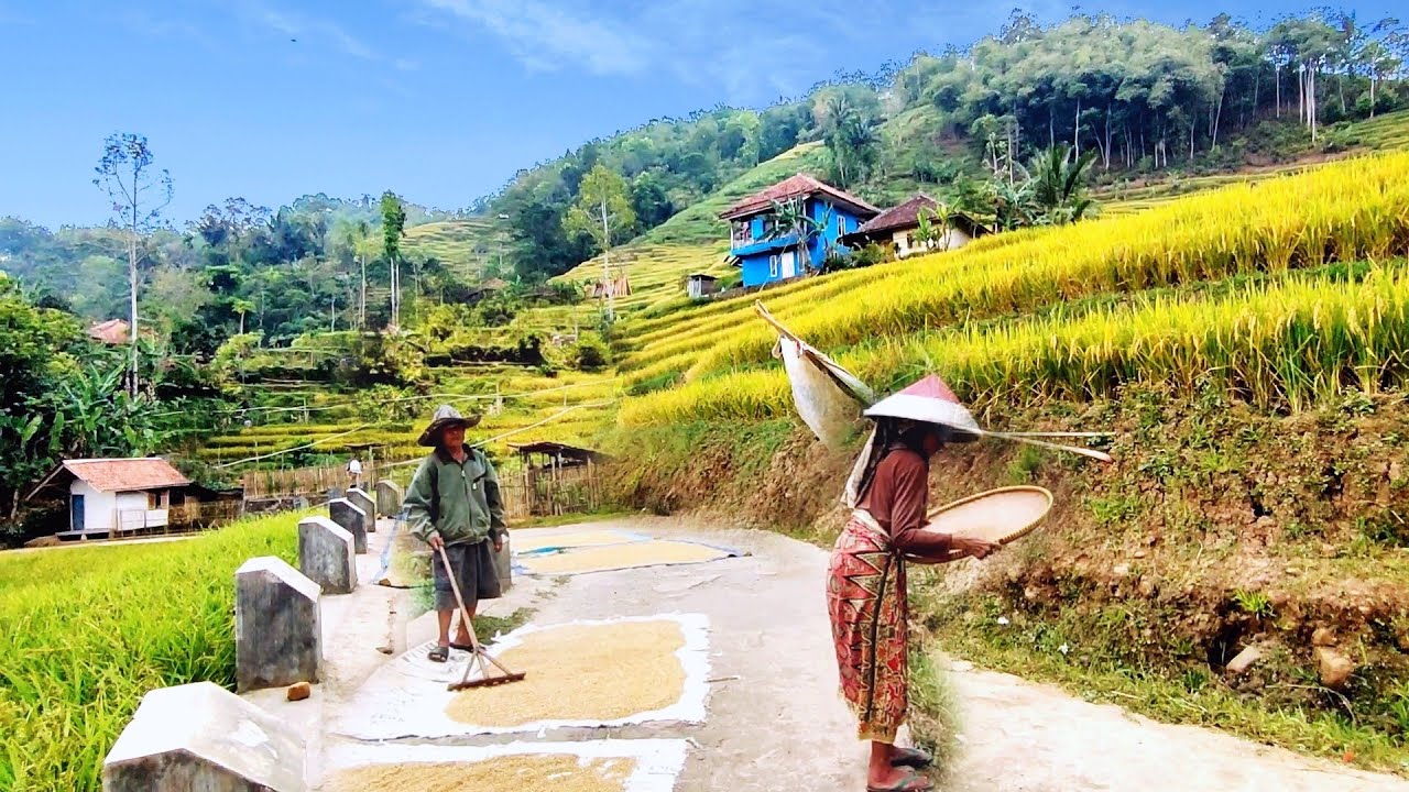Perjalanan Mengunjungi Kampung Terindah Seperti Lukisan, Bikin Betah ...