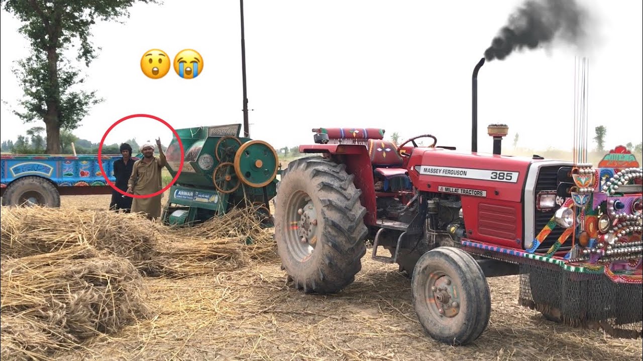 Massey Ferguson 385 Real PTO Power Operating Wheat Thrasher Harvester ...