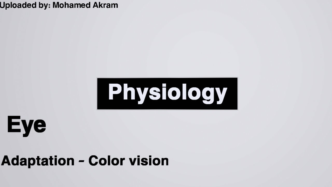 Physiology : Eye : Adaptation & Color Vision - YouTube