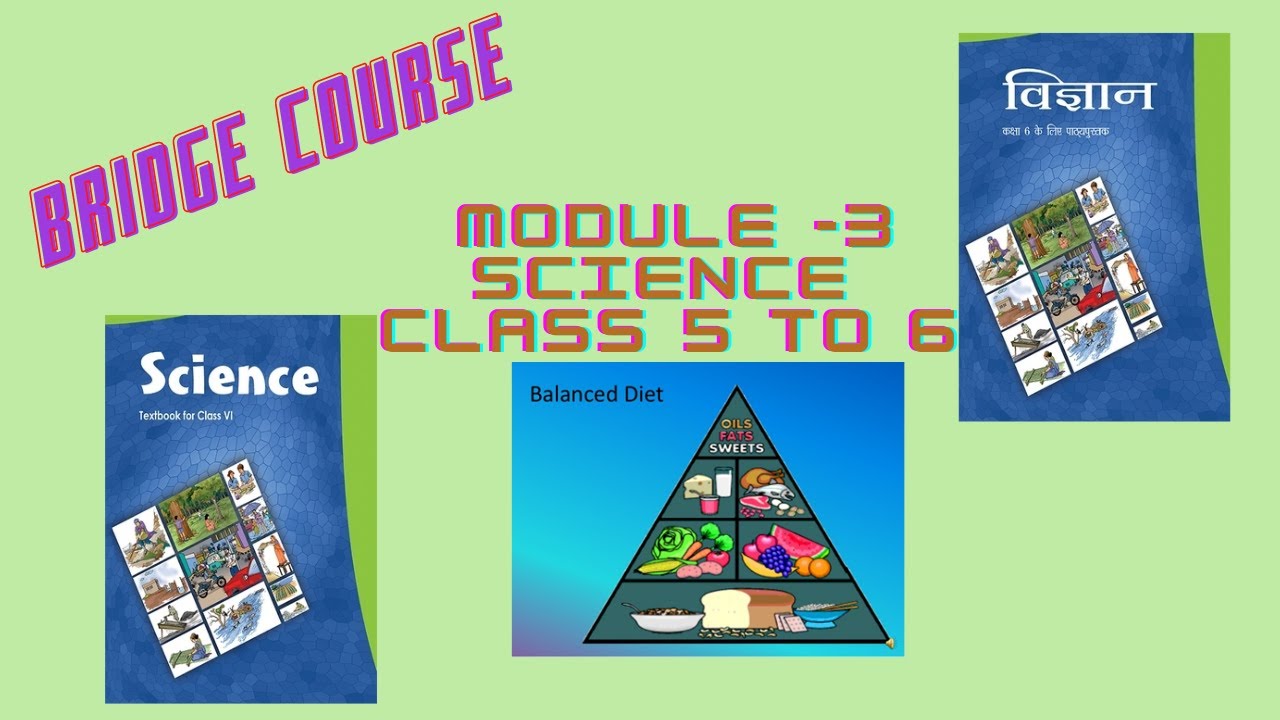 Bridge Course | science | class 5 to 6 | Module 3 - YouTube
