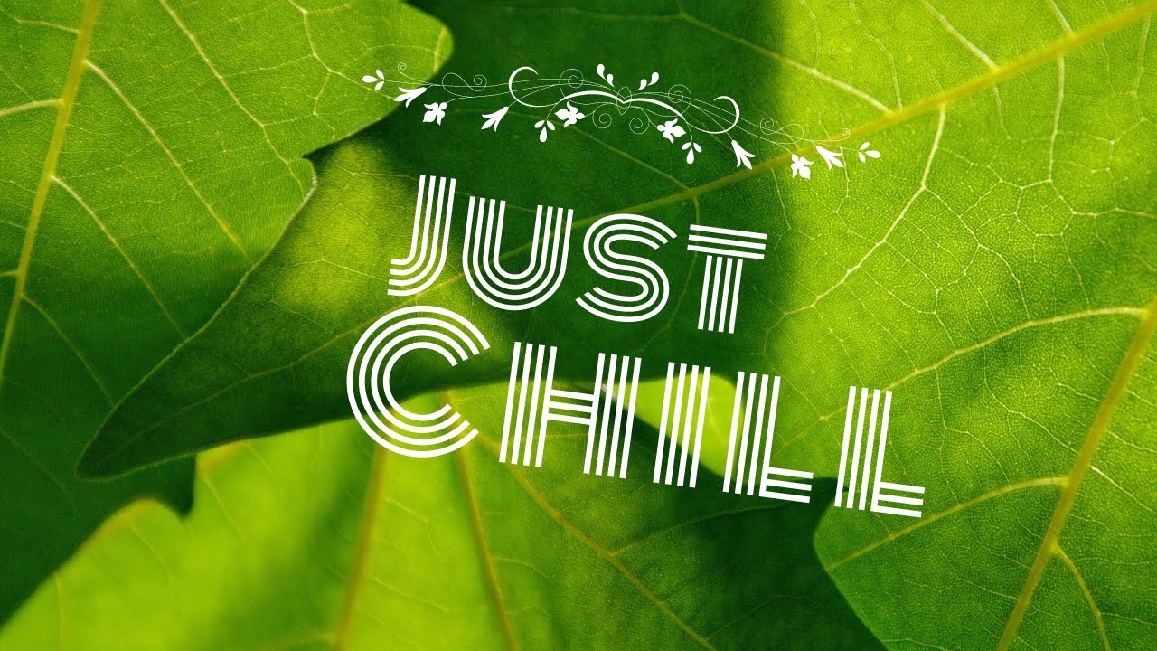 Just Chill + Relax Music + muzyka relaksacyjna + spokojna muzyka ...