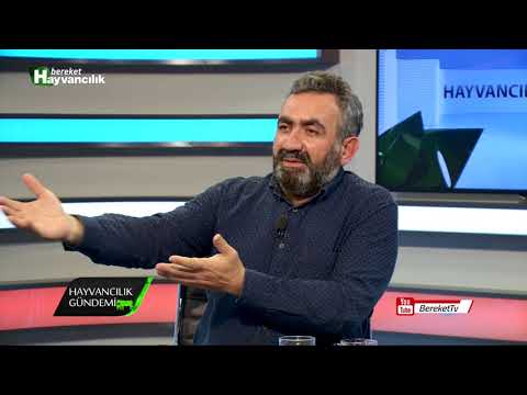Hayvancılık Gündemi | Köyden Şehre Göçün Engellenmesi