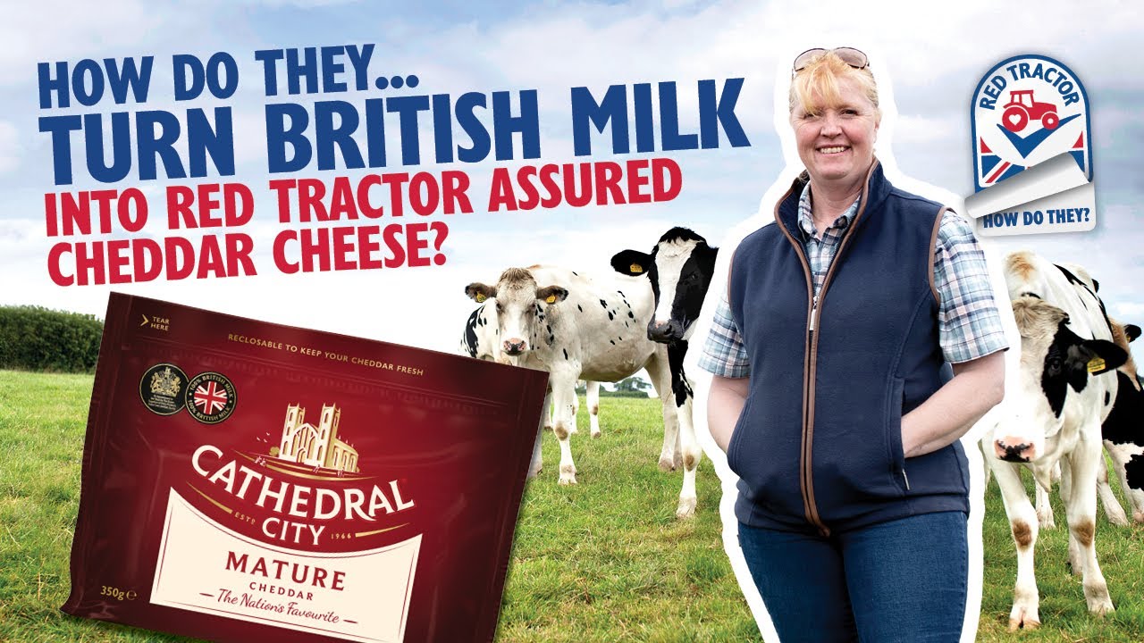 How Do They turn British milk into Red Tractor assured cheddar cheese ...