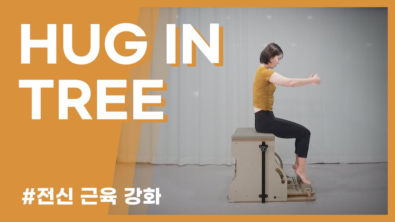 필라테스 | 초보자도 쉽게 하는 필라테스 체어 BASIC 03 ⭐️ | 전신 근육 강화에 좋은 동작 (Hug in tree ...